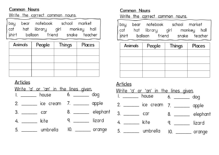 Year 1 Common Nouns & Articles | PDF