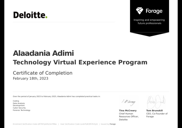 Deloitte Virtual Program | PDF