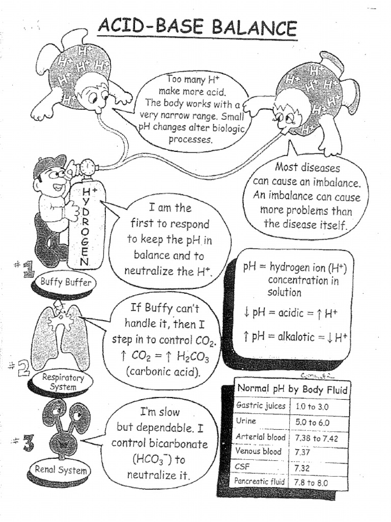 Acid Base | PDF
