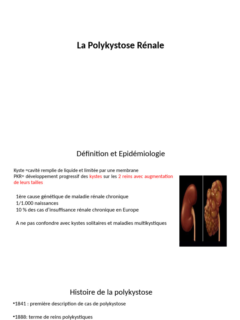 Nephro 10 PKR | PDF | Rein | Maladies et troubles