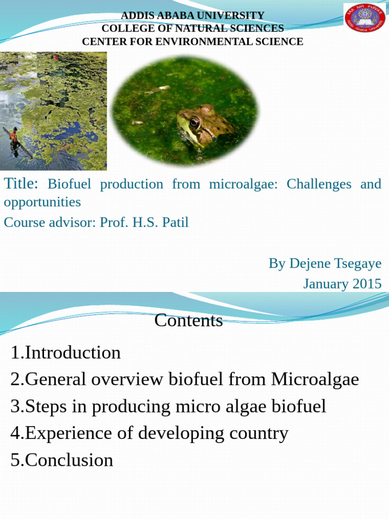 Biofuel From Microalgae | PDF | Algae Fuel | Biofuel