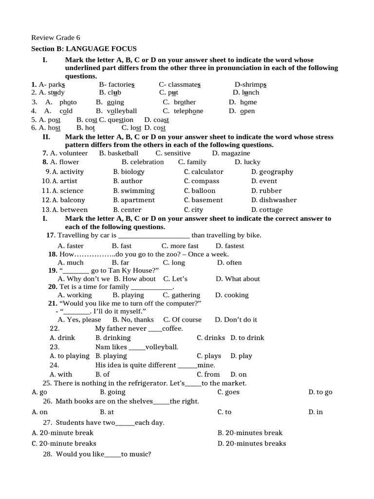 Grade 6 Language Focus Practice Test | PDF