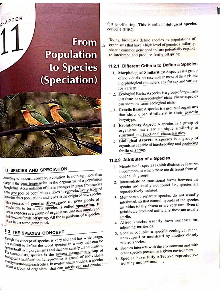 Speciation | PDF