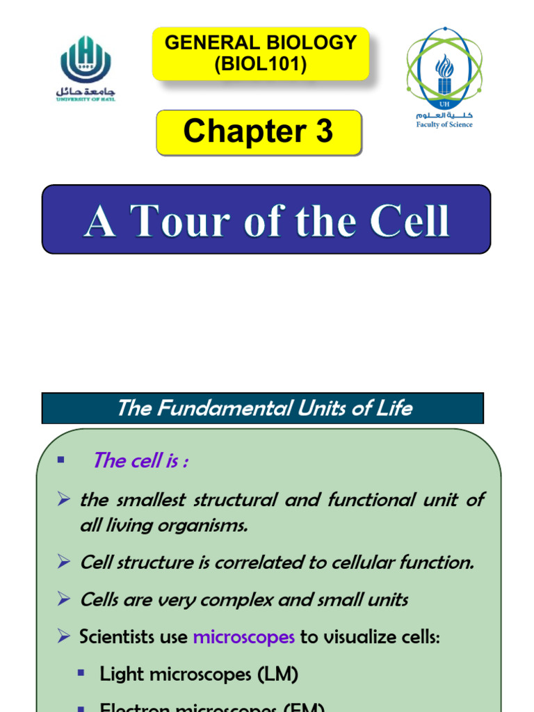 Chapter 3-Tour of The Cell | PDF | Cell (Biology) | Endoplasmic Reticulum
