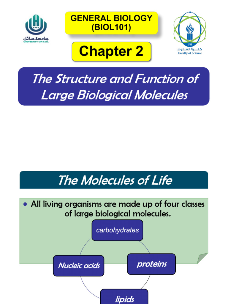 Chapter 2-Macromolecules | PDF | Lipid | Carbohydrates