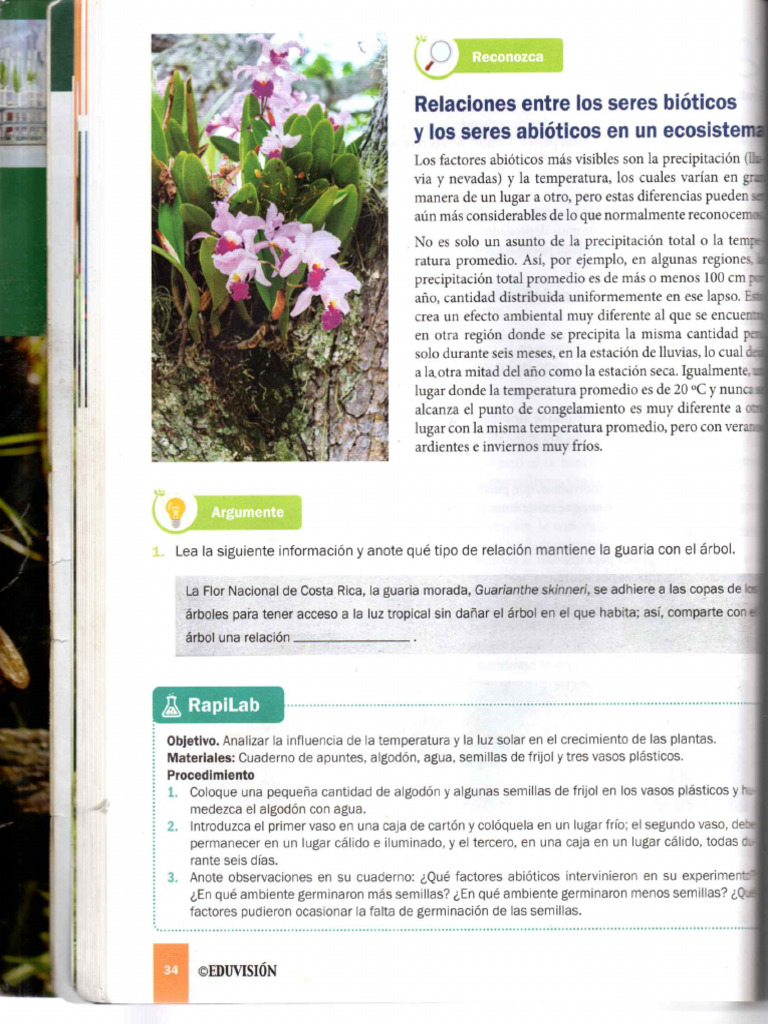 Practica 1 Ramas | PDF