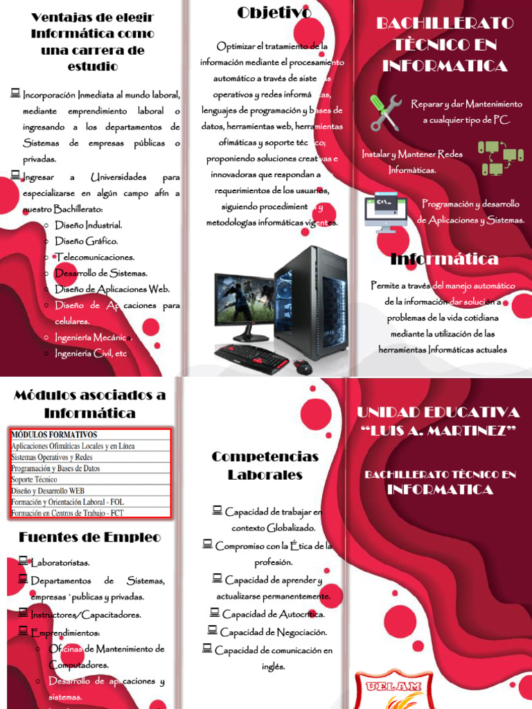 Triptico BT Informático | PDF | Informática | Software de la aplicacion