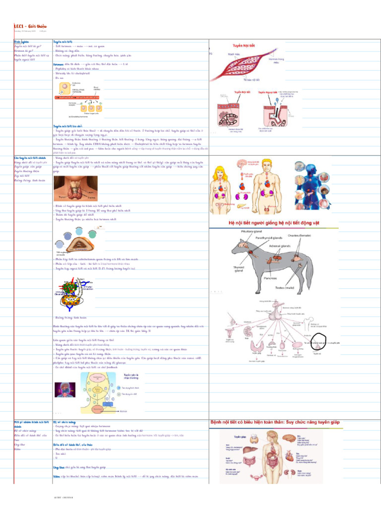 LEC1 - Giới thiệu | PDF