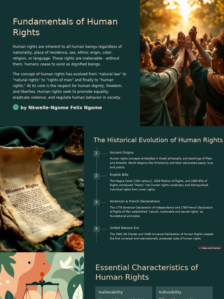 Overview of Human Rights Principles | PDF | Human Rights | Rights