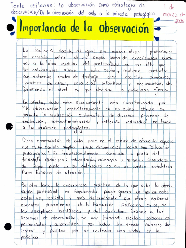 Importancia de la Observación en SEO | PDF