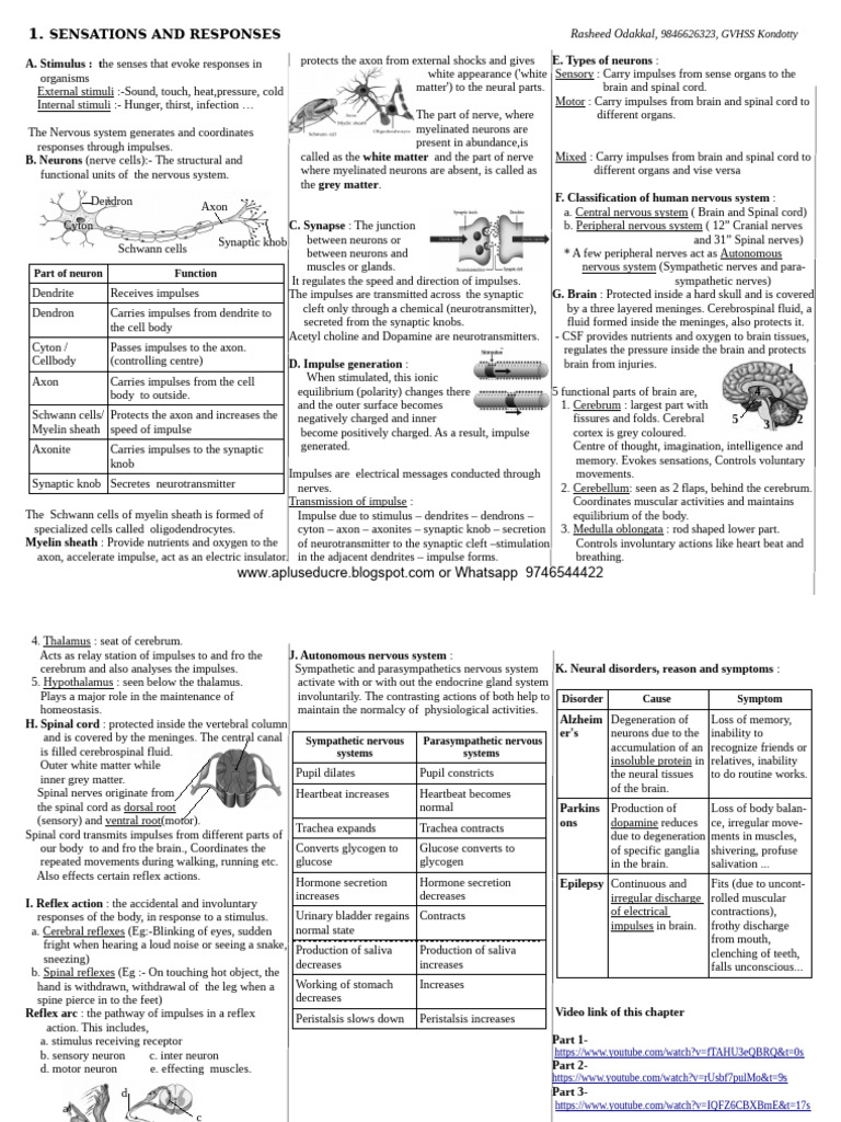 A+ Blog SSLC Biology All Chapters Abstract Notes (Em | PDF | Nervous ...