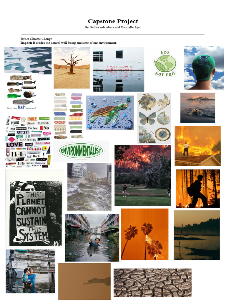 Capstone Project (1) | PDF