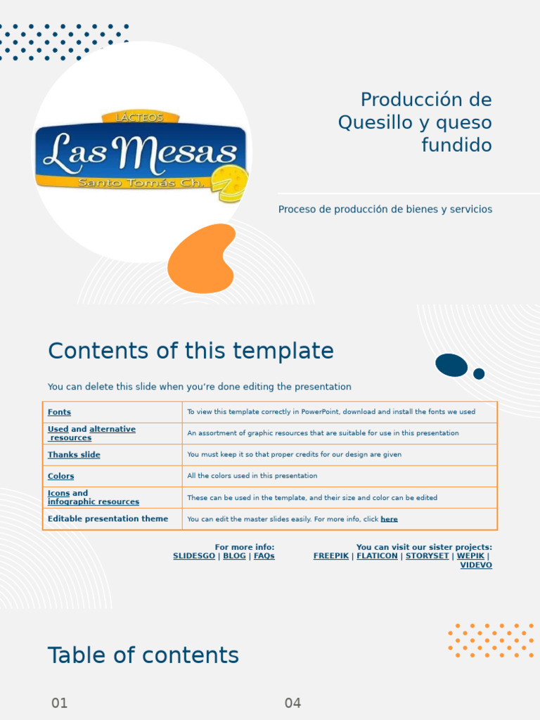 Spring Cleaning Products Campaign by Slidesgo | PDF | Target Audience ...