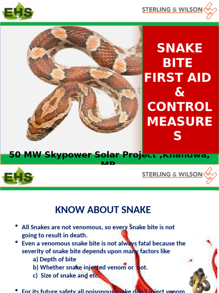 Snake Bite First Aid and Prevention Guide | PDF
