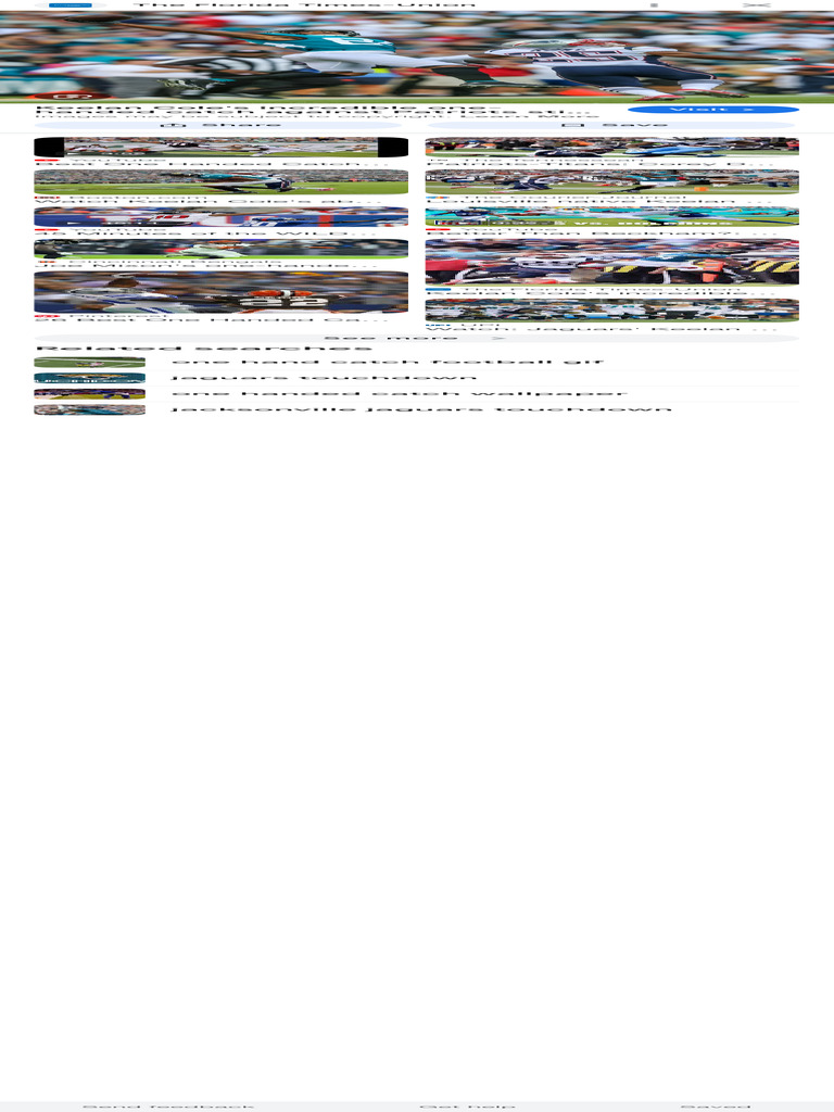 NFL One Hand Catch - Google Search | PDF