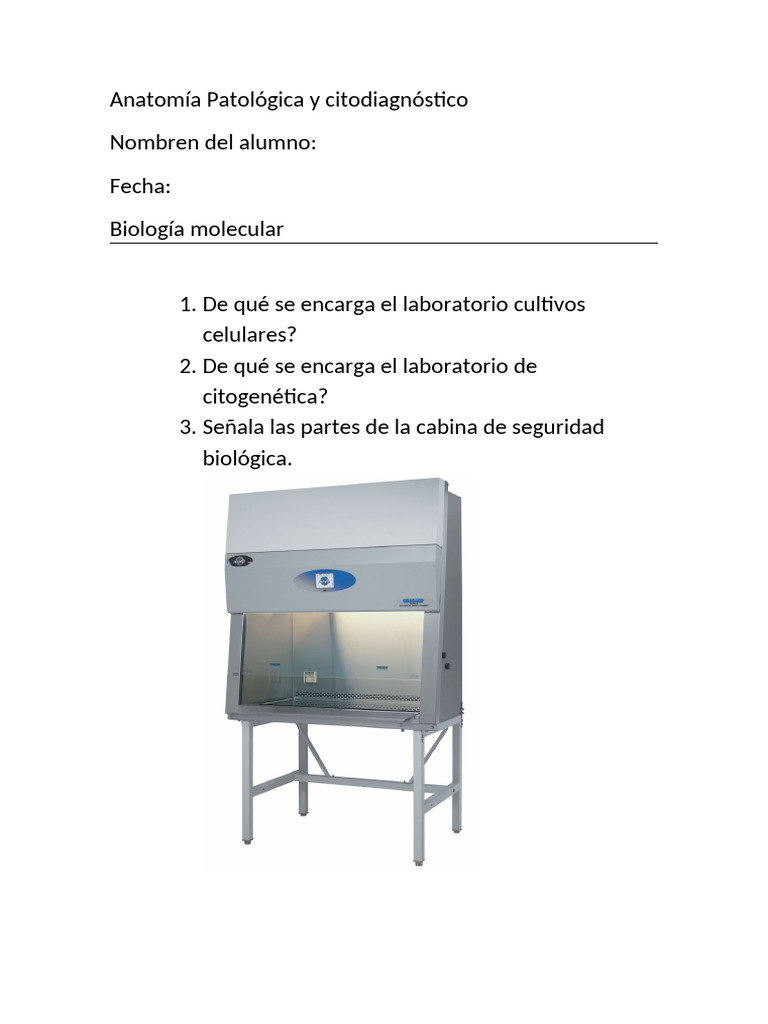 Ficha 7.laboratorio de Cultivos Celulares | PDF