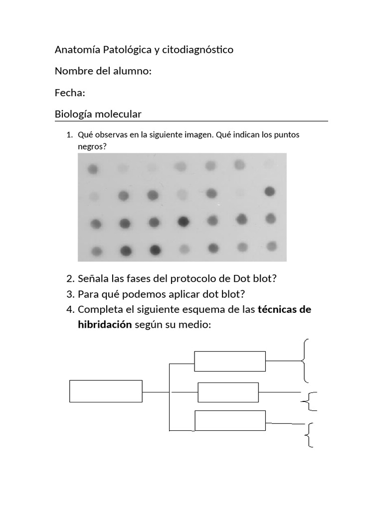 ficha 5. Aplicaciones de dot blot | PDF