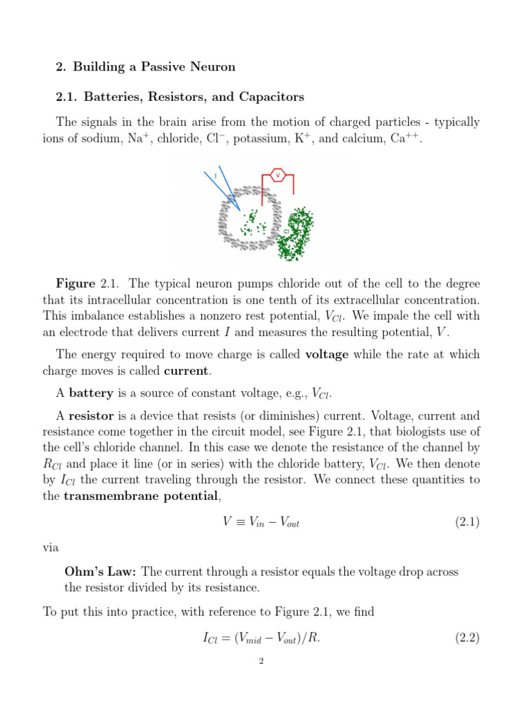 Passive Neuron Circuit Modeling | PDF | Electrical Engineering | Electromagnetism