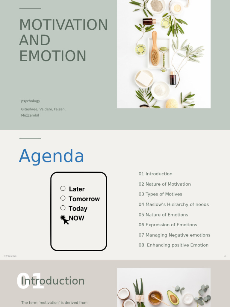 Understanding Motivation and Emotion | PDF | Motivation | Motivational
