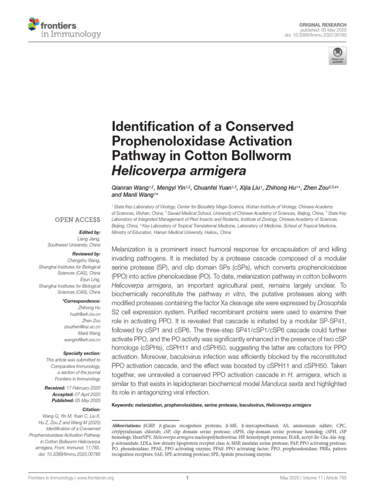Prophenoloxidase Pathway in Cotton Bollworm | PDF | Polymerase Chain ...