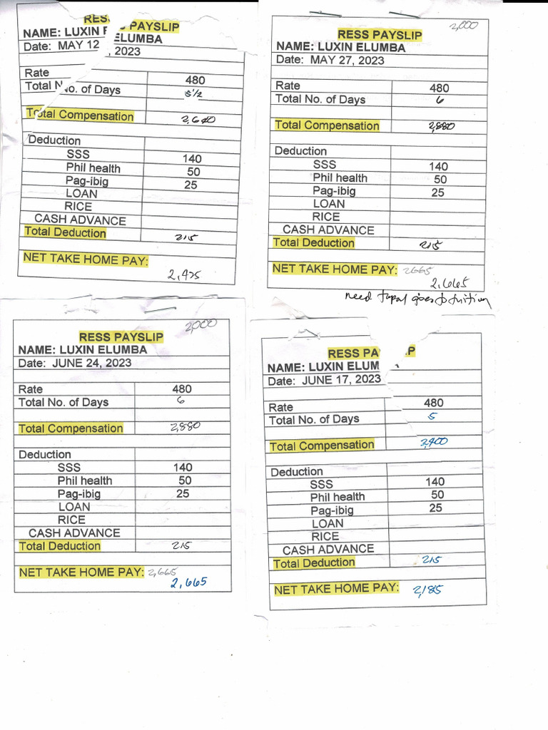 Payslip Sample | PDF