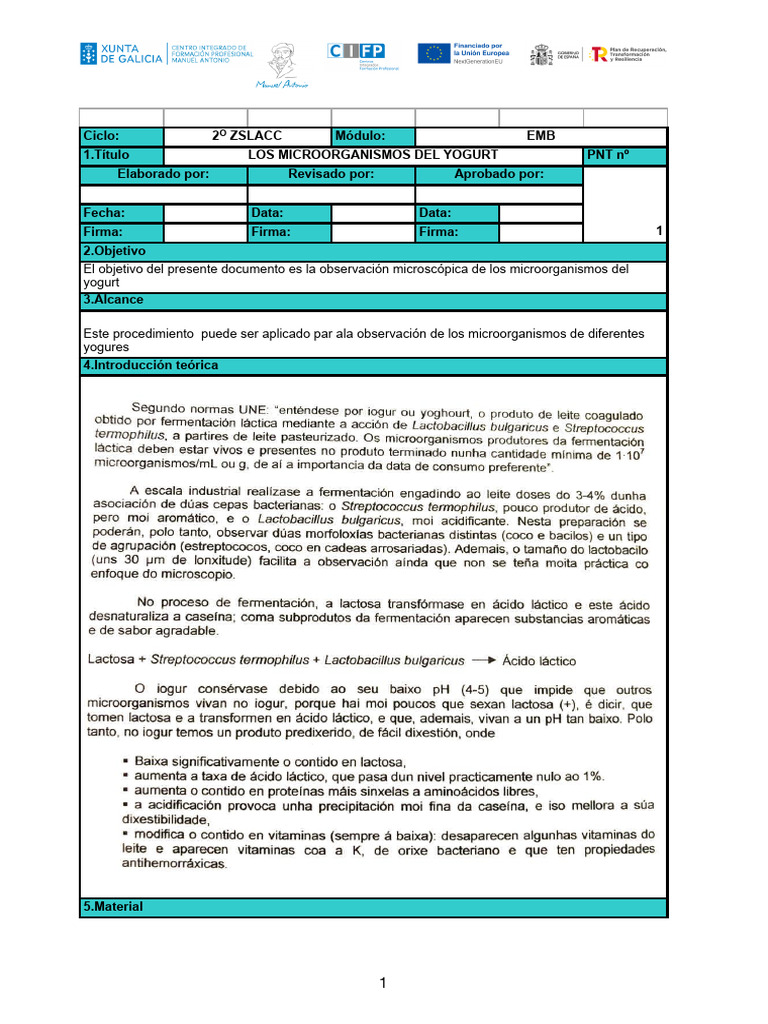 Plantilla PNT - MIRIAN EXCEL - EMB | PDF