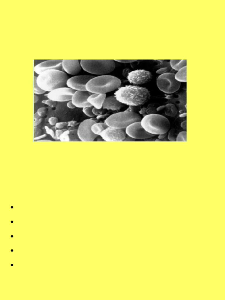 Microscopía Electrónica: Tipos y Aplicaciones | PDF | Electrón ...