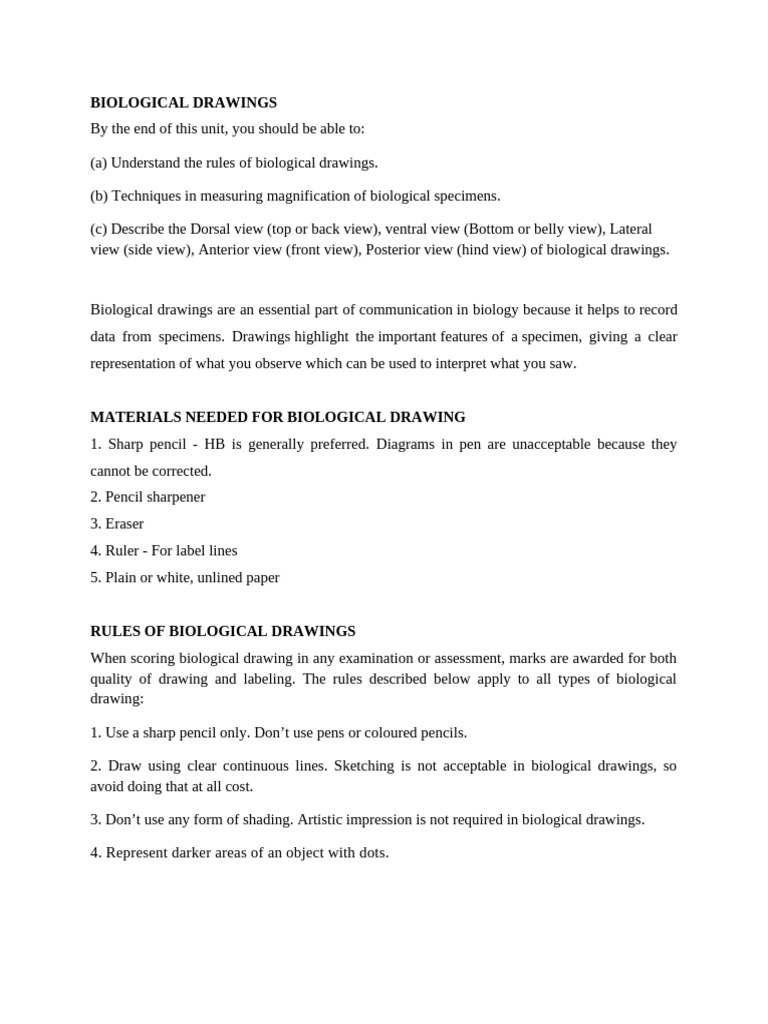 Biological Drawings 7 - 035210 | PDF | Nucleotides | Triglyceride