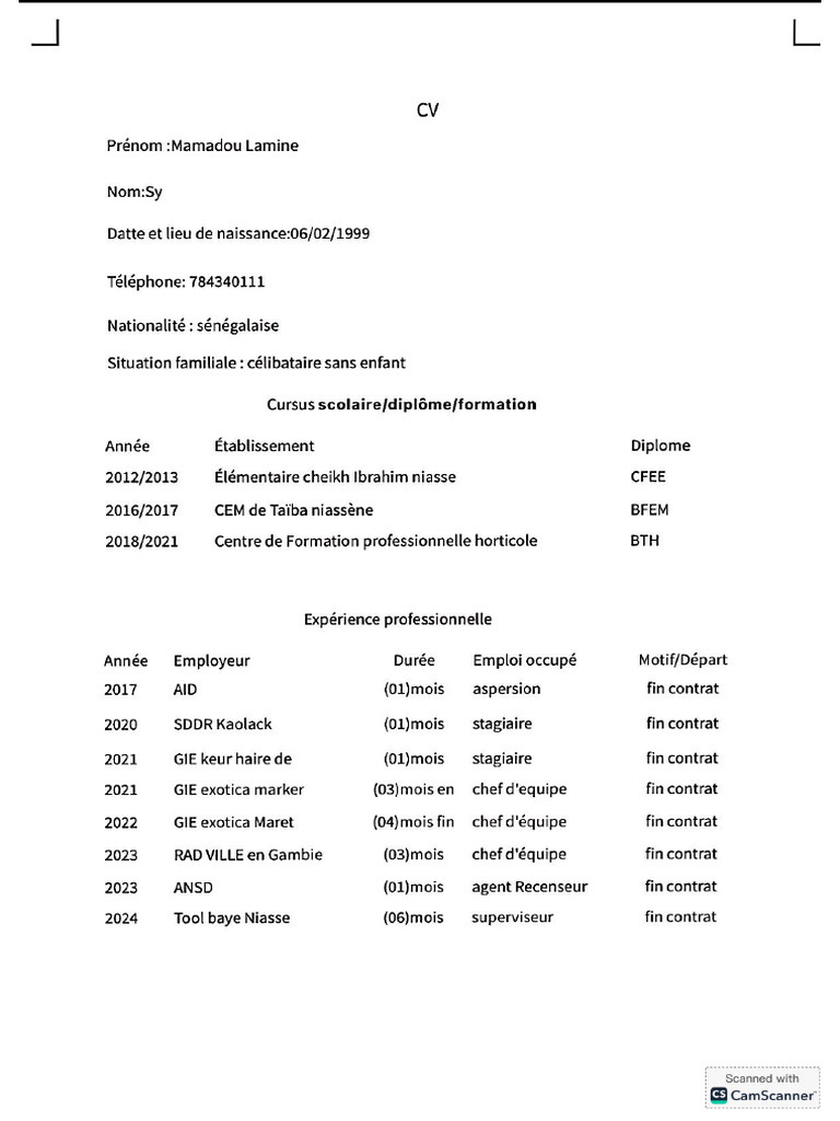 Cv 2025 | PDF