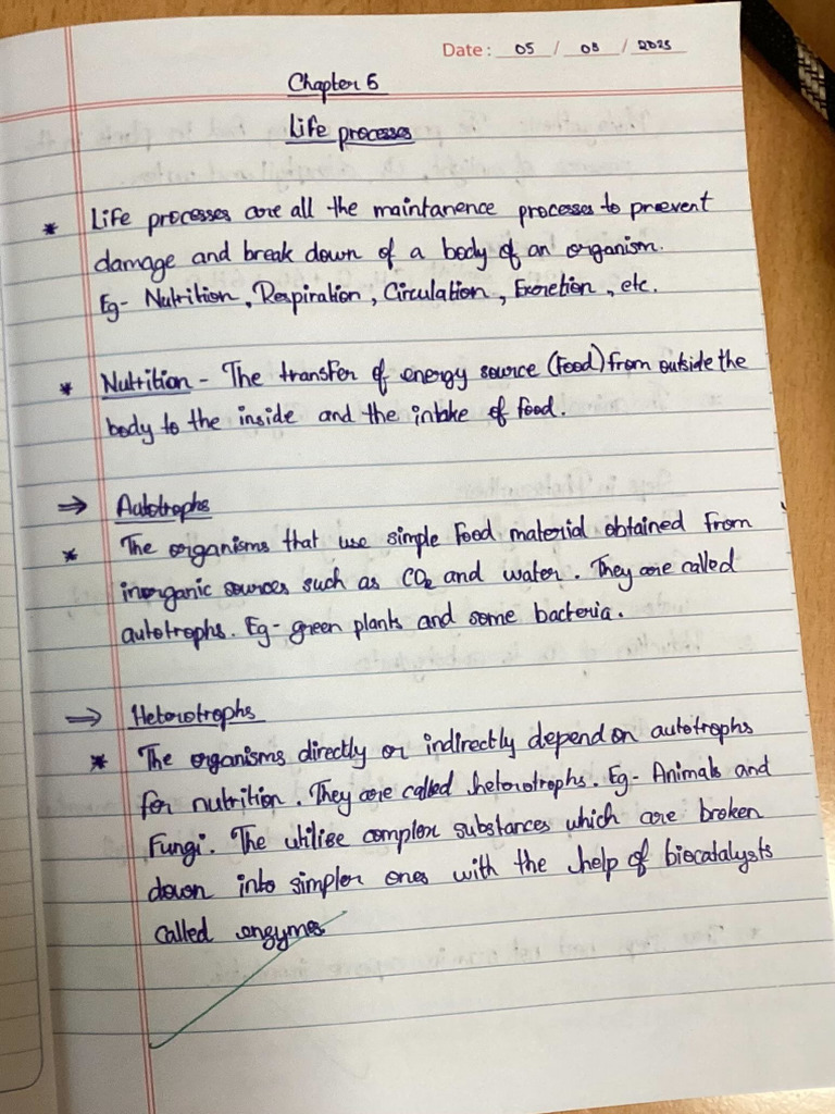 Life Processes Notes | PDF