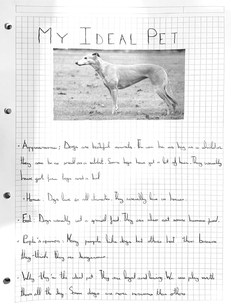 My Ideal Pet | PDF