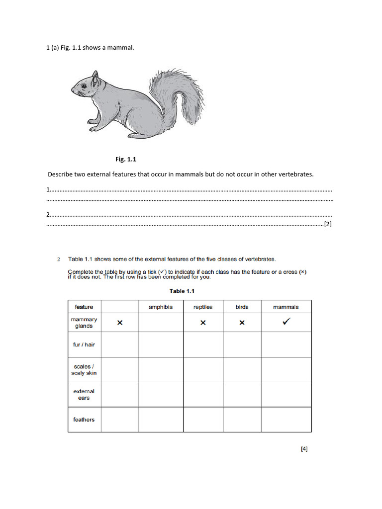 F3 Classification Exercise | PDF