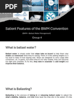 Guidance on BWM Contingency Measures | PDF | Business | Nature