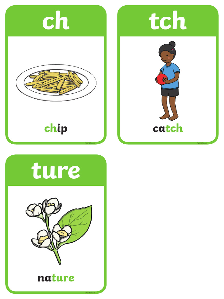 t l 9008 My Ch Sound Family Flashcards | PDF