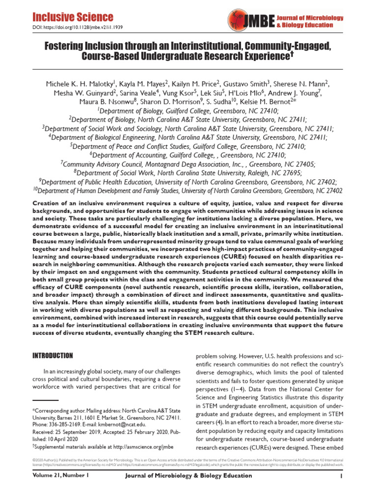 Fostering Inclusion in STEM Education | PDF | Effect Size | Cognition