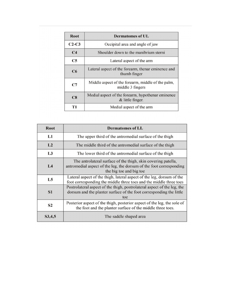 Myotome and Dermatome | PDF