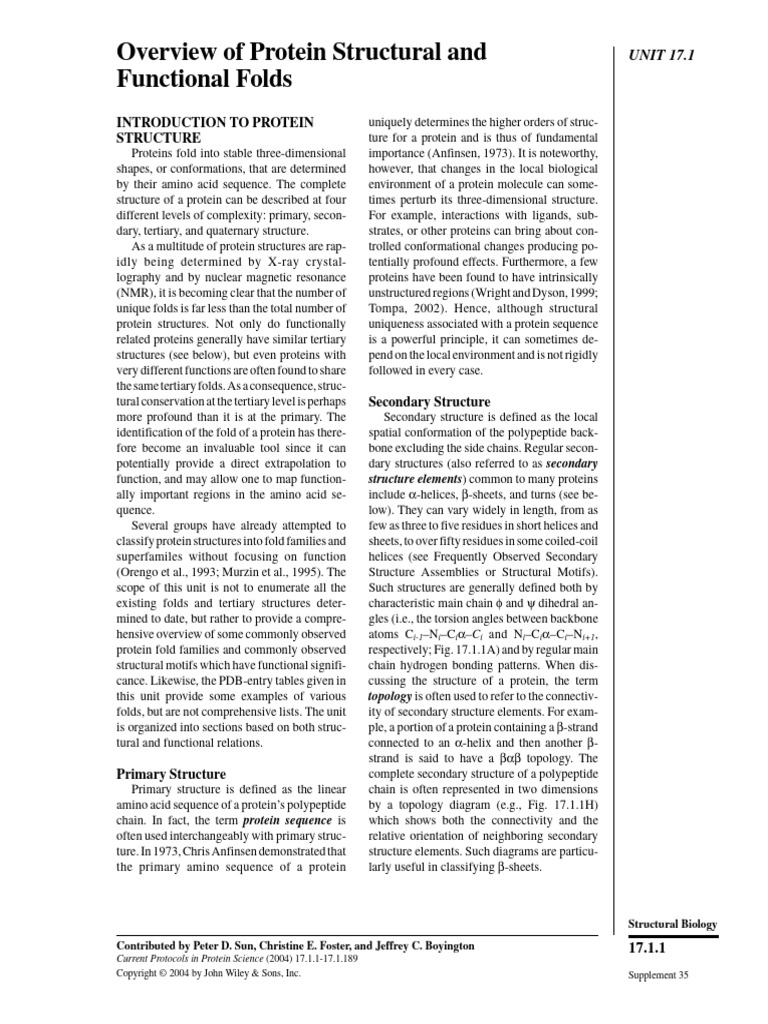 Protein Structure Review | PDF | Beta Sheet | Alpha Helix