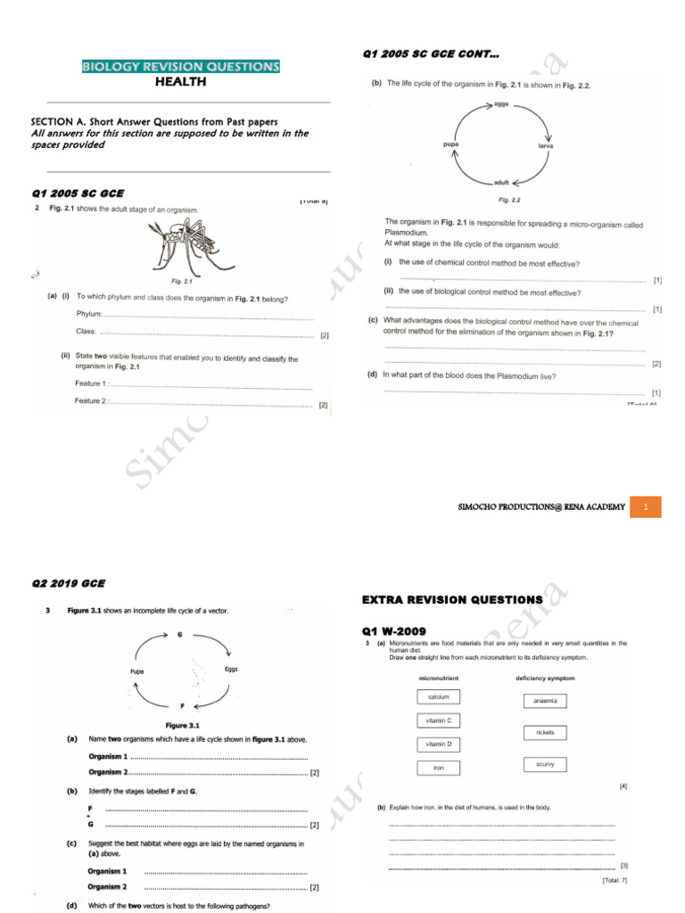 BIO REVISION ON HEALTH | PDF
