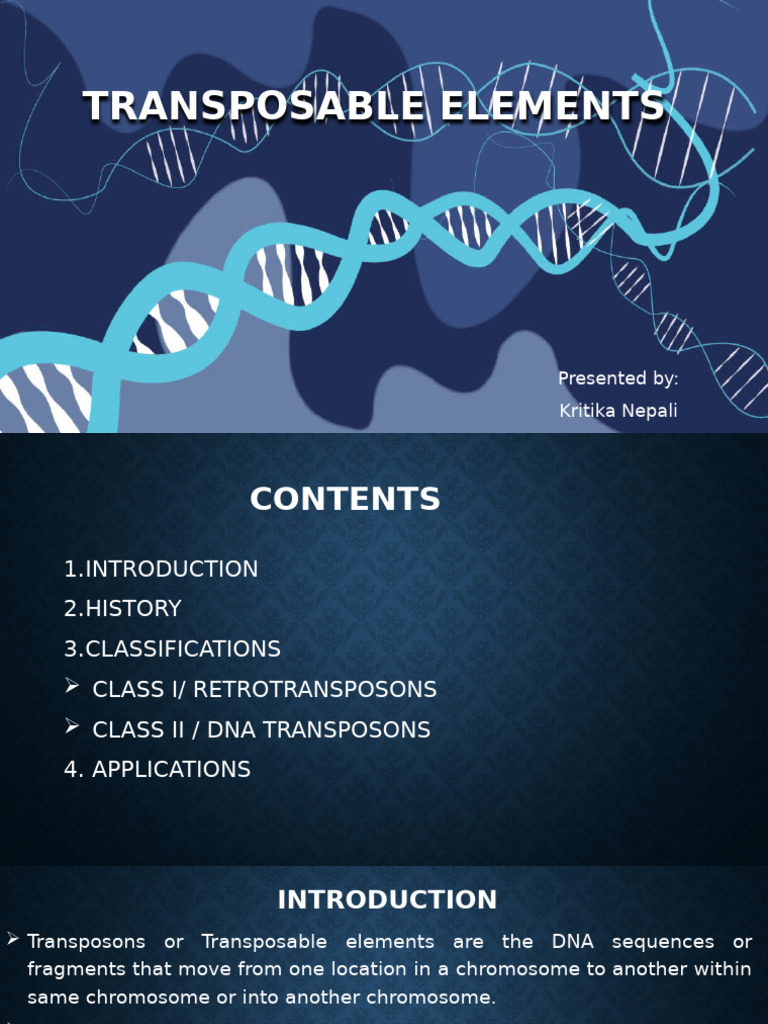 Transposable Elements | PDF | Transposable Element | Genome