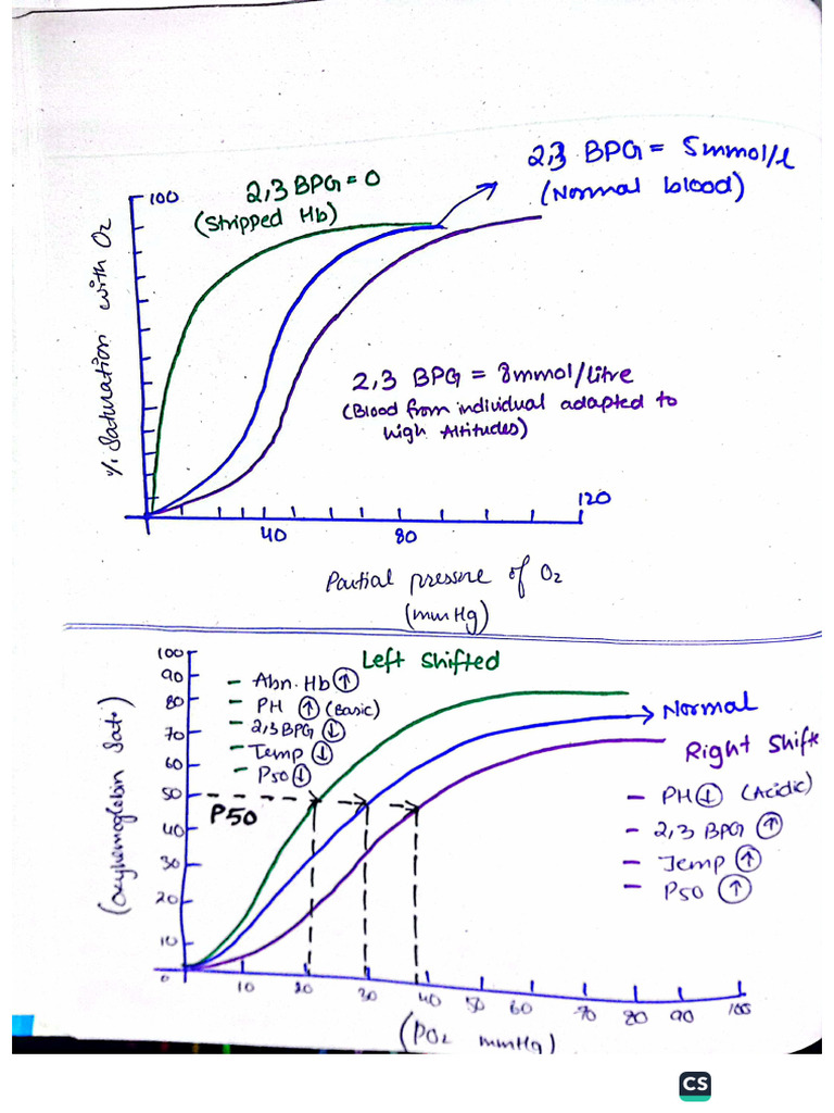 Biochem Practical | PDF