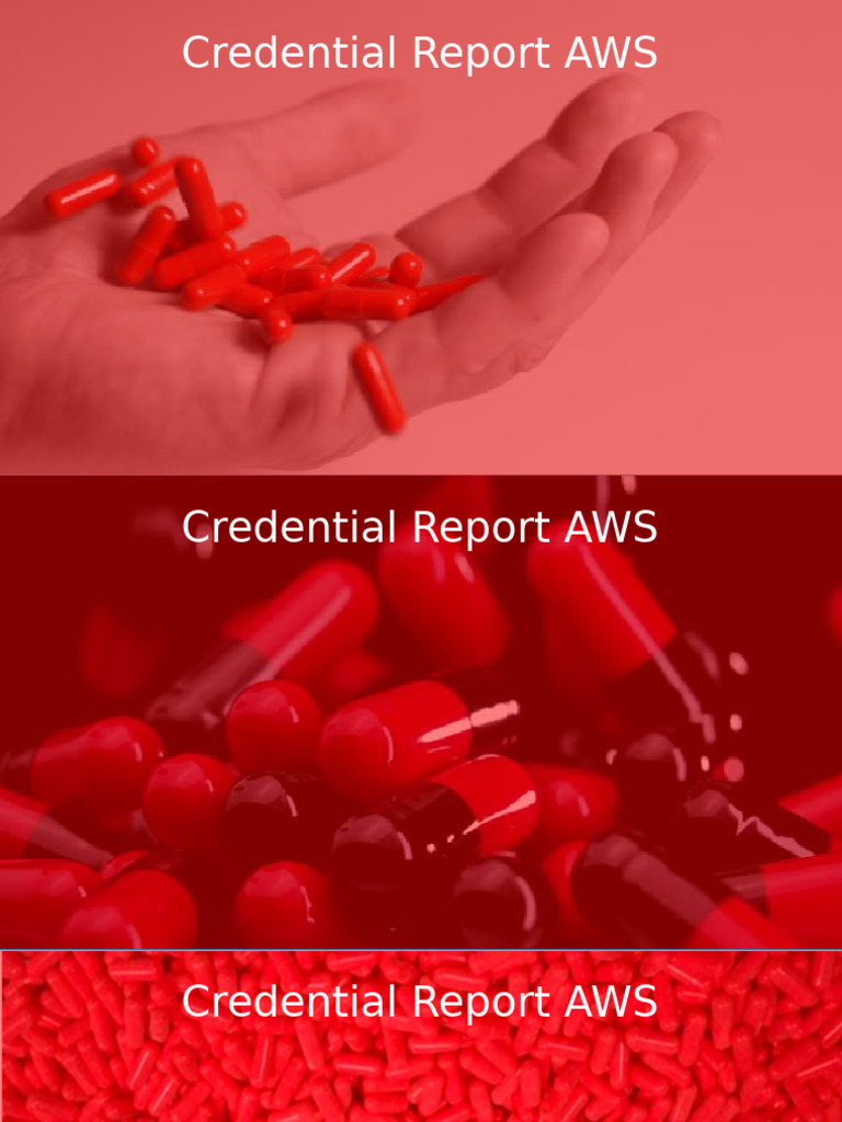 Credential Report | PDF