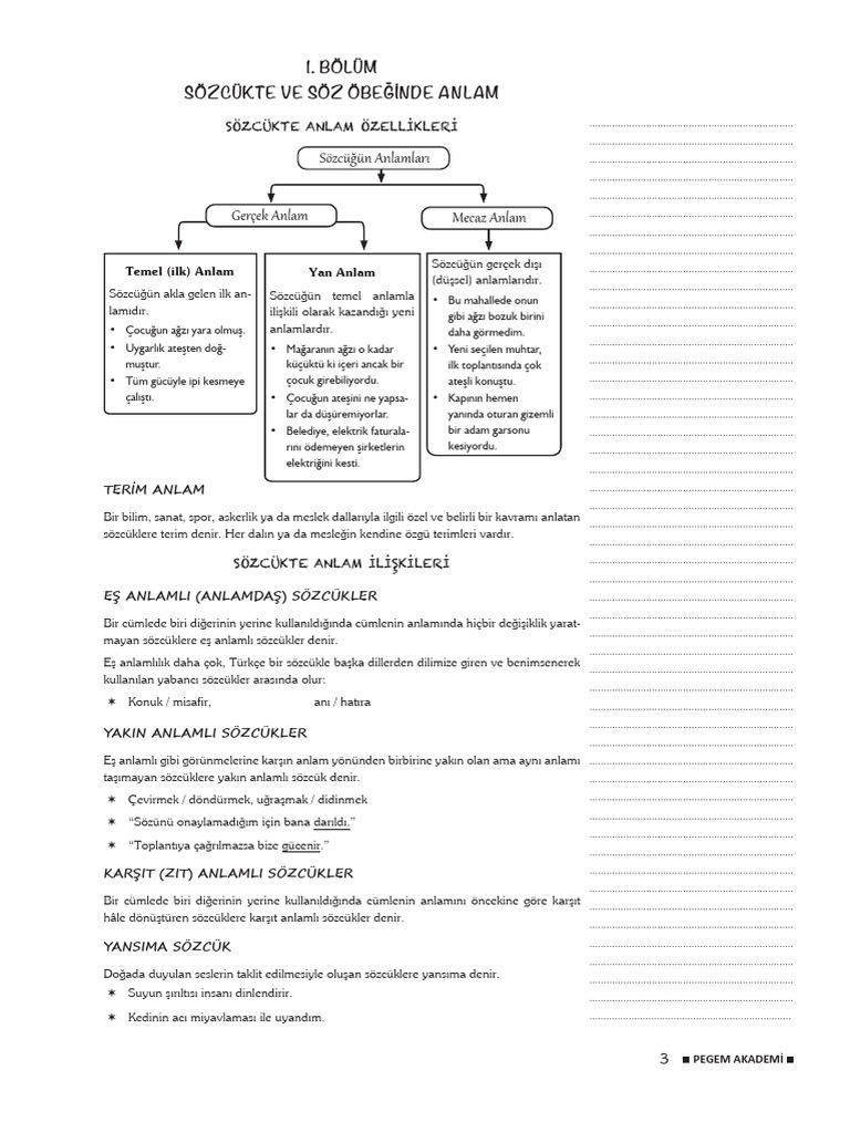 KPSS - Turkce 5 54 | PDF