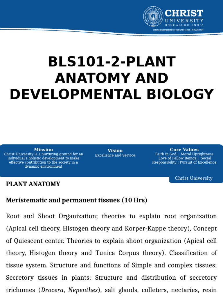 Bls101-2-Plant Anatomy and Developmental Biology | PDF | Tissue ...
