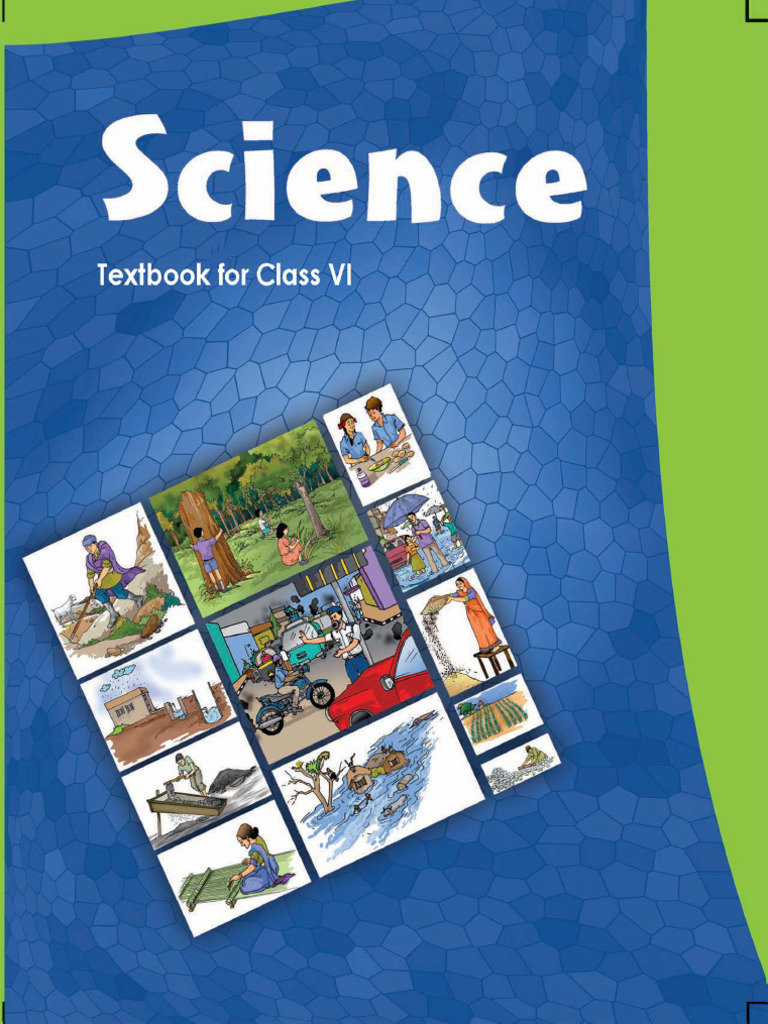 Science Class VI | PDF