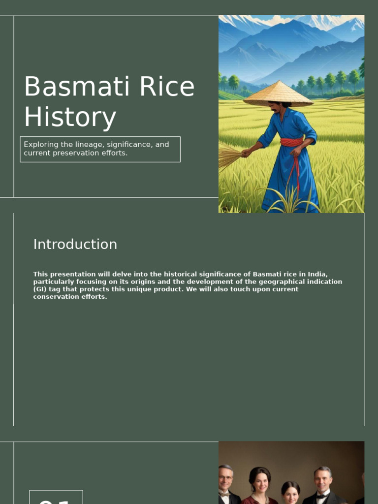 Origin and Significance of Basmati Rice | PDF | Agriculture | Rice