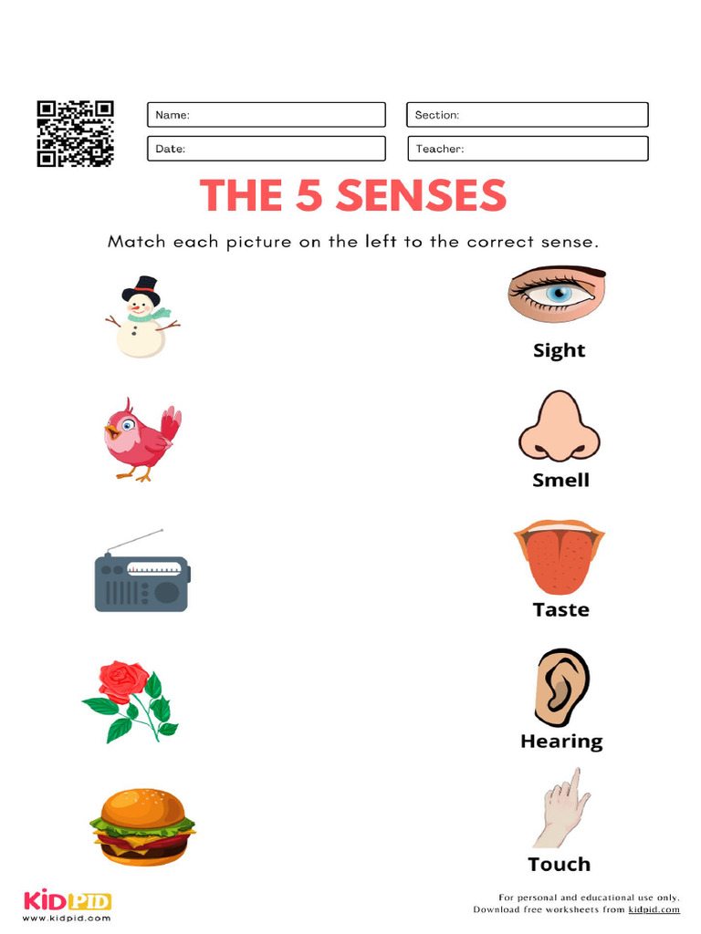 Connect It! - Ctto | PDF