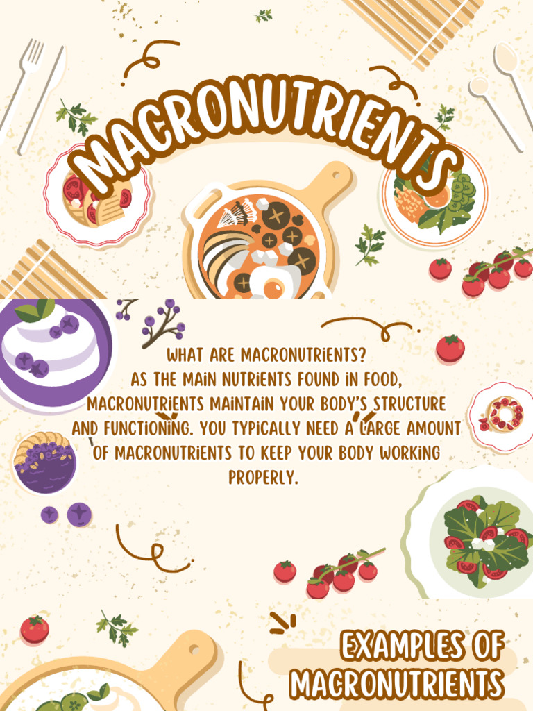 Understanding Macronutrients and Micronutrients | PDF