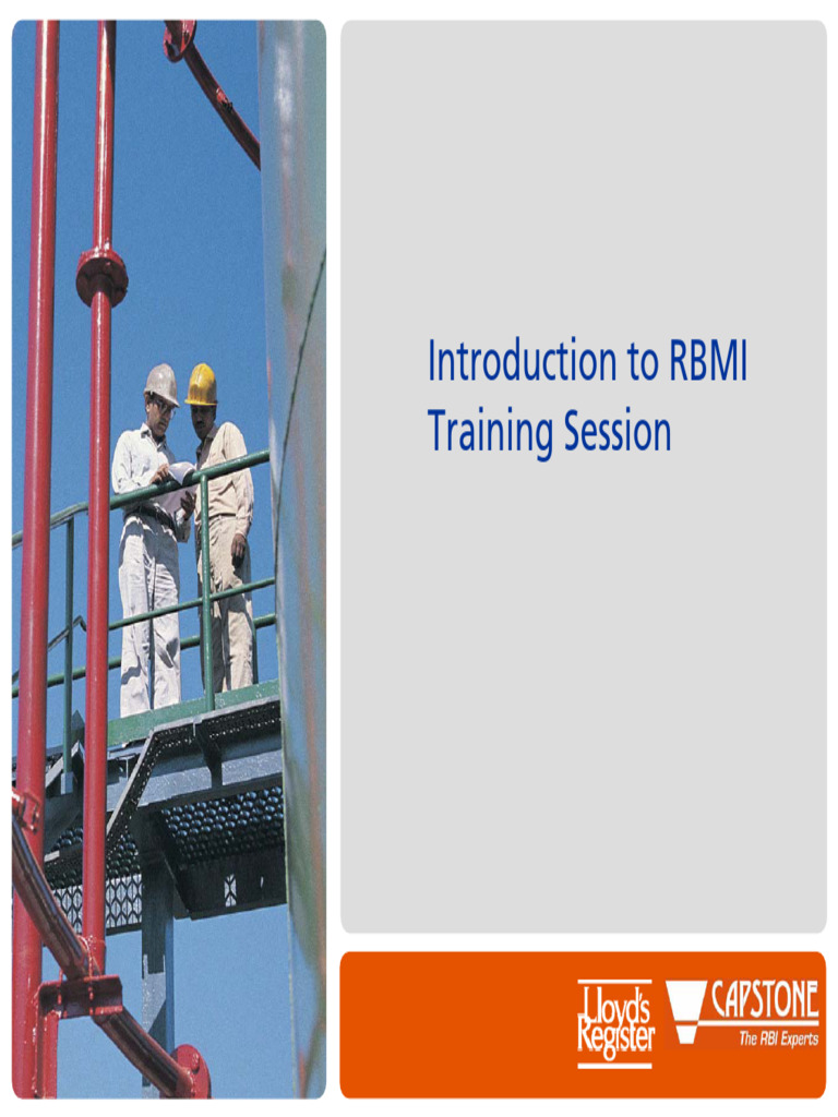 RBMI Basic Training Slides | PDF | Risk | Risk Management