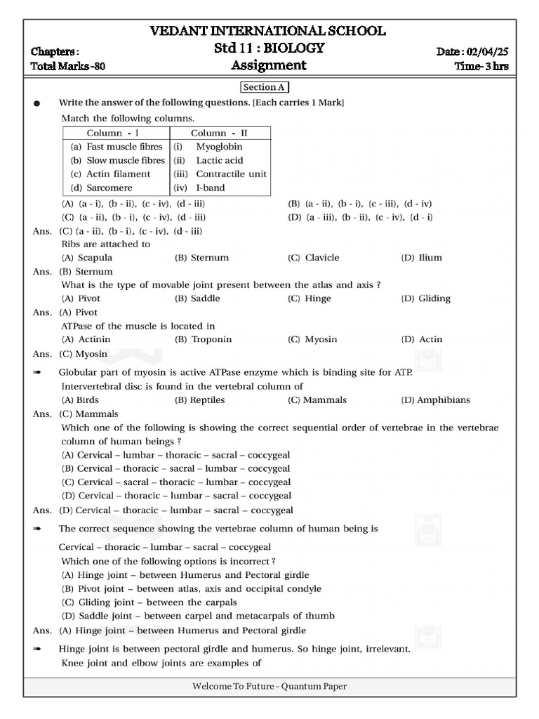 Assignment D02 Apr 2025 1 | PDF
