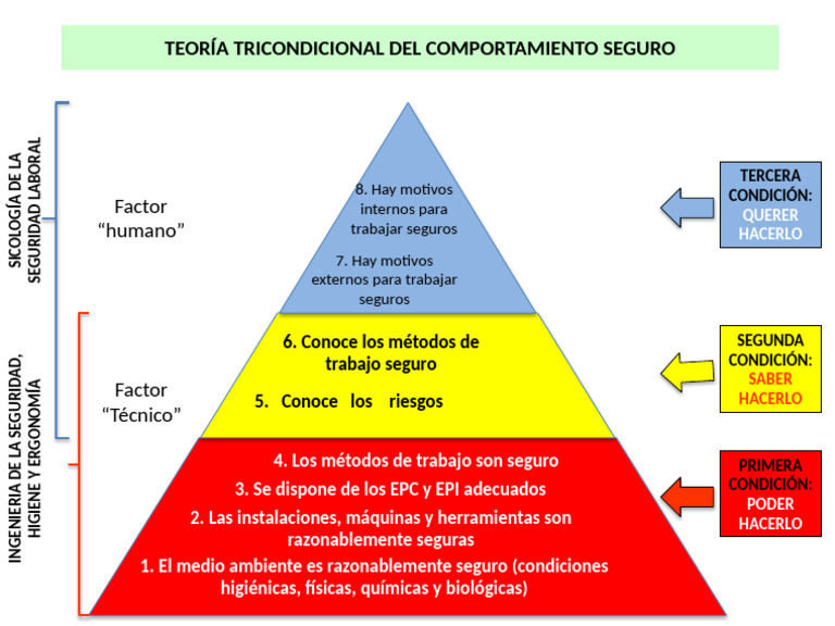 Teoría Tricondicional Del Comportamiento Seguro | PDF